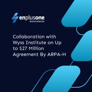 News - EnPlusOne Bio
